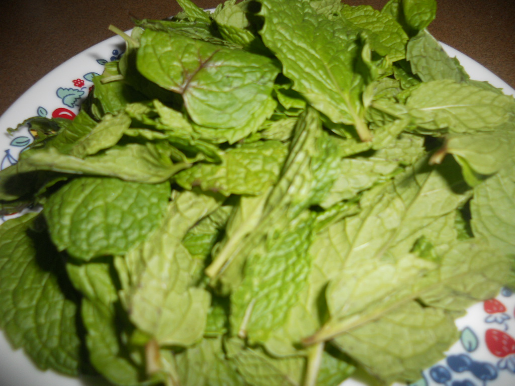 Pudina leaves Indian Kitchen Cooking Recipes